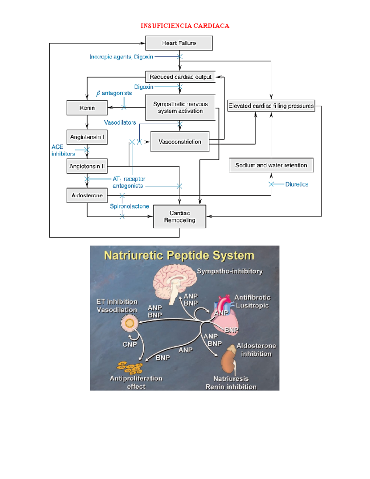 Insuficiencia Cardiaca - INSUFICIENCIA CARDIACA Nesiritide (NATRECOR ...