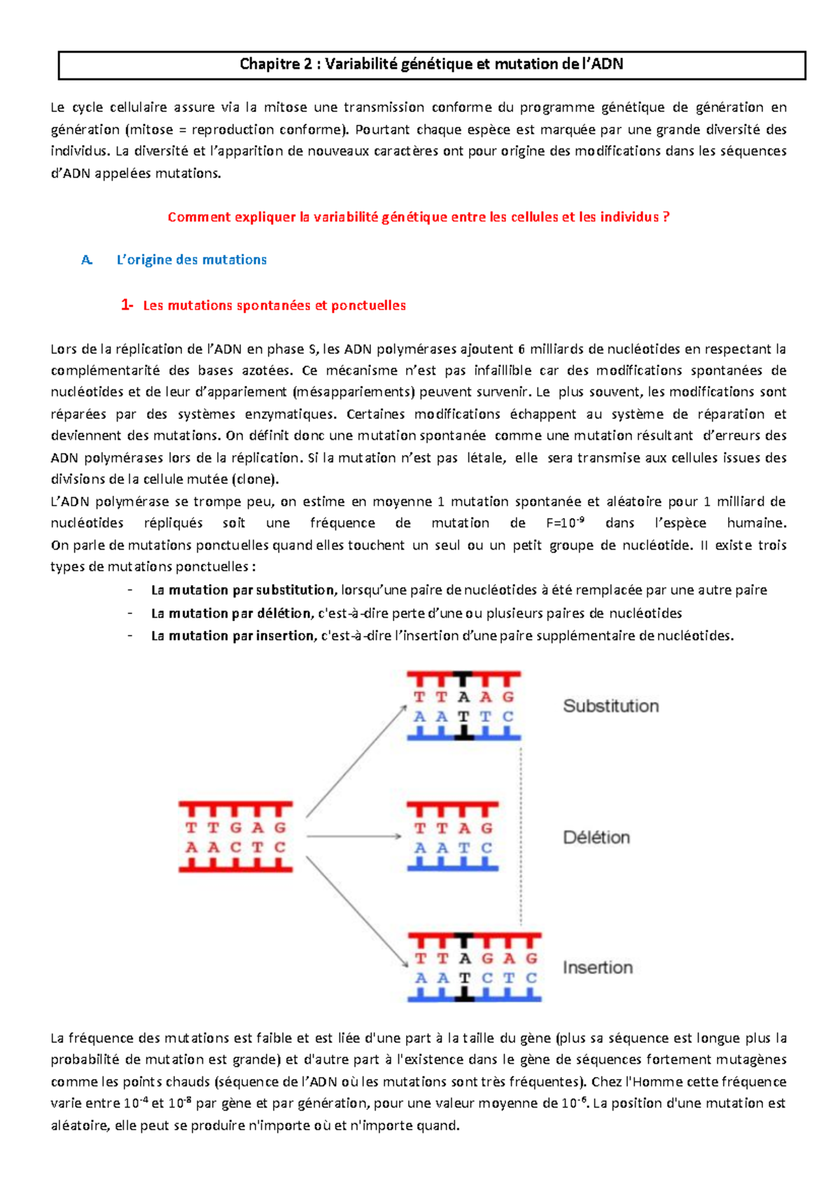 Chapitre 2 variabilité et mutation ADN - Le cycle cellulaire assure via la mitose une ...