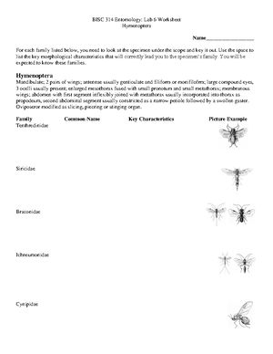 Order pictorial key - Lab Assignment - A Pictorial Key to the Order of ...