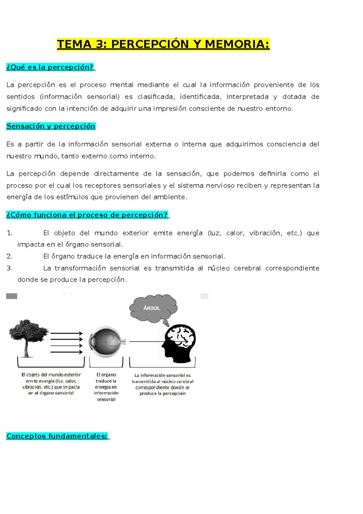 Psico T3 - TEMA 3: PERCEPCIÓN Y MEMORIA: ¿Qué es la percepción? La percepción es el proceso ...