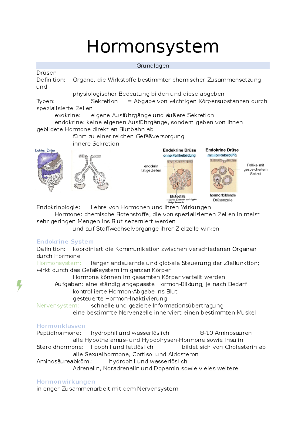 03 Hormonsystem - Wintersemester - Hormonsystem Grundlagen Drüsen ...