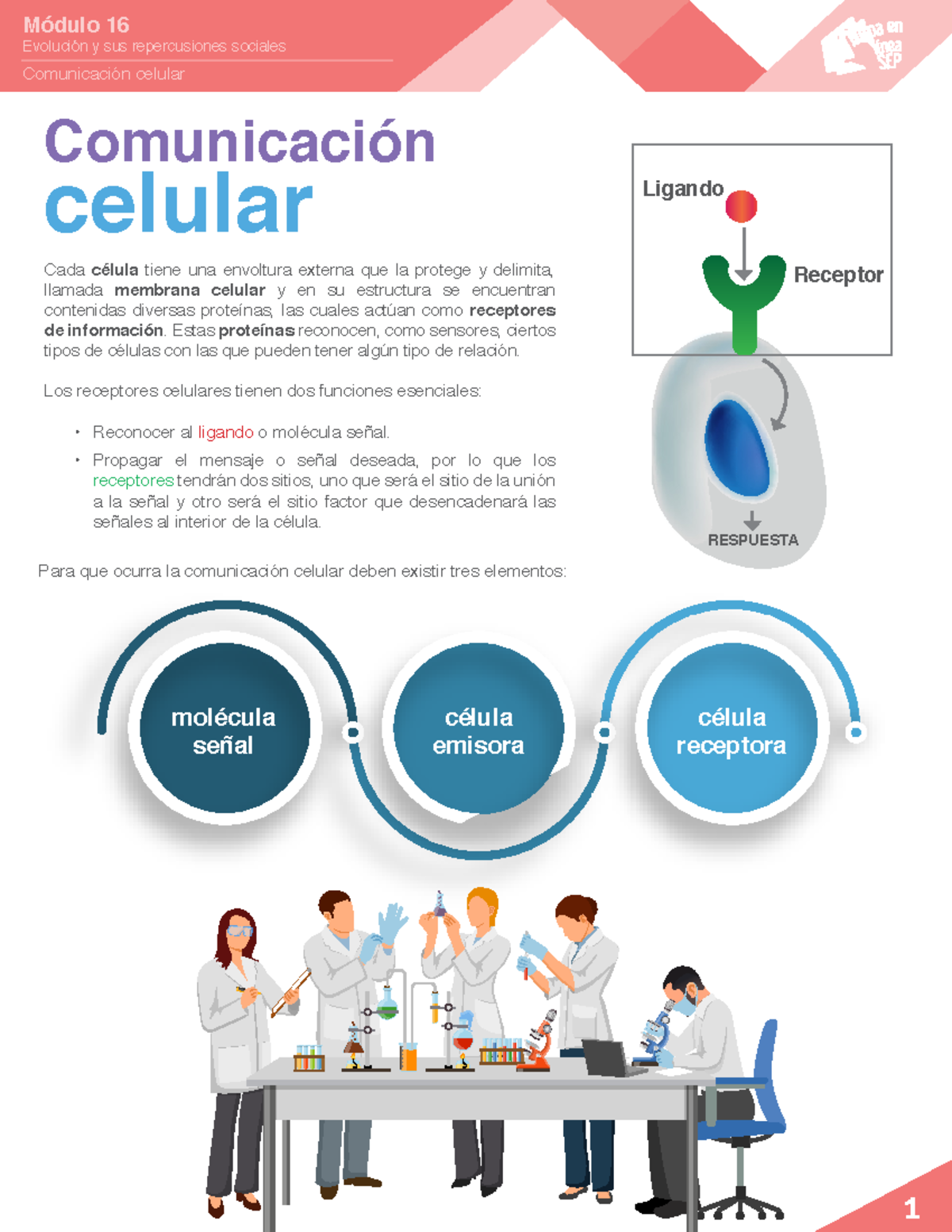Comunicacion Celular PEL - 1 Módulo 16 Evolución y sus repercusiones sociales Comunicación ...