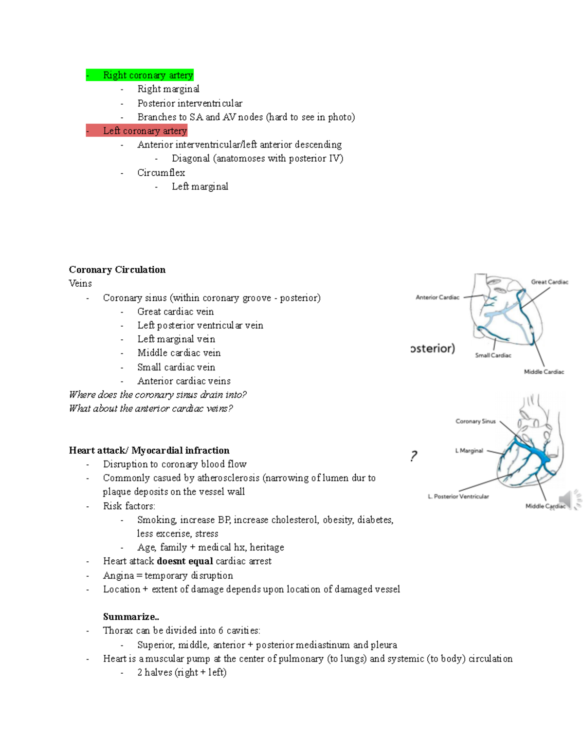 Anatomy Coronary Circulation - Right coronary artery Right marginal ...