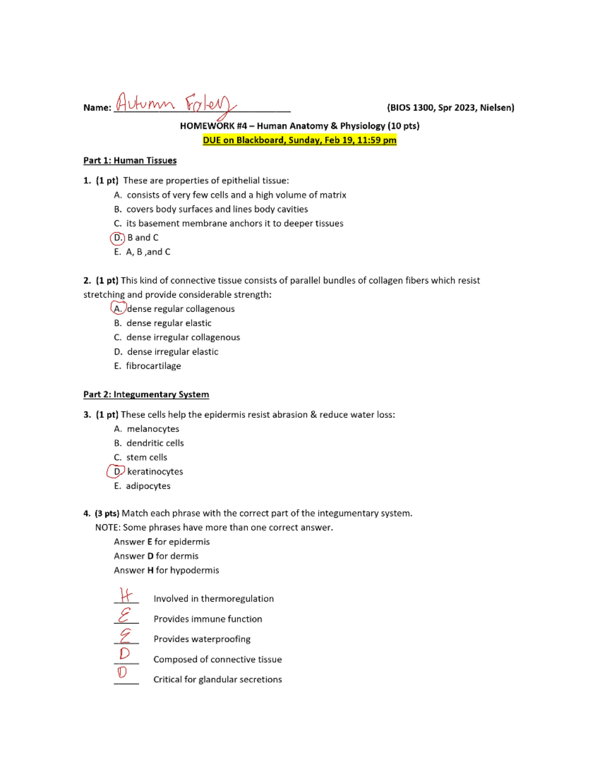 Homework #4 completed - online assignemnt - Name: Autumn Foley (BIOS 1300, Spr 2023, Nielsen ...