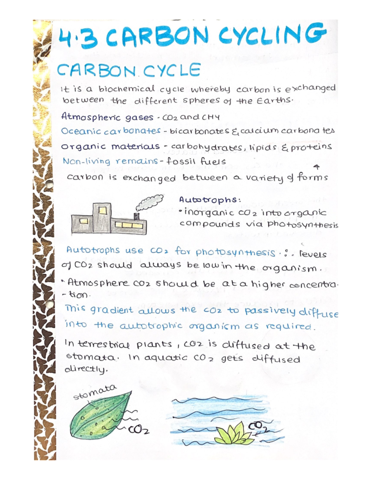 Carbon Cycling - Student Notes - CARBON. CYCLE we It 18 A biochemical ...