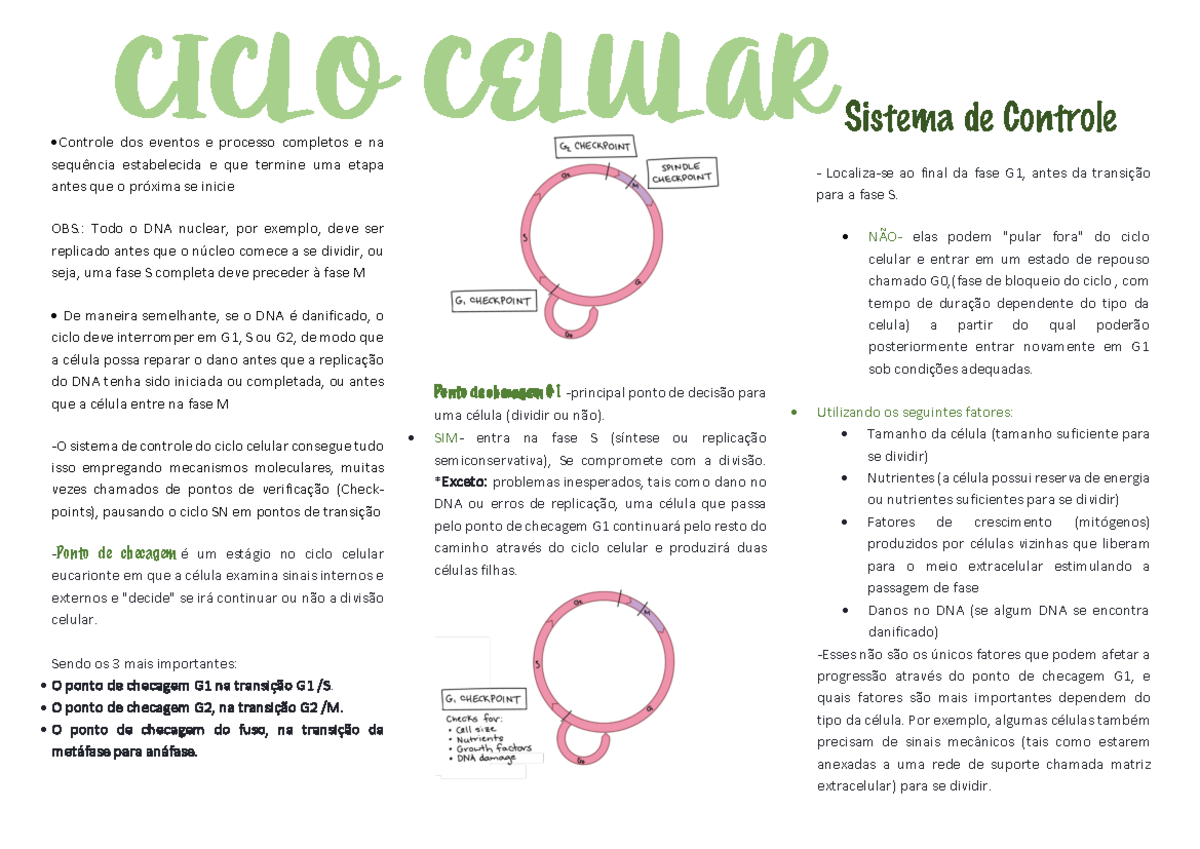 Ciclo Celular- controle - Sistema de Controle Controle dos eventos e ...