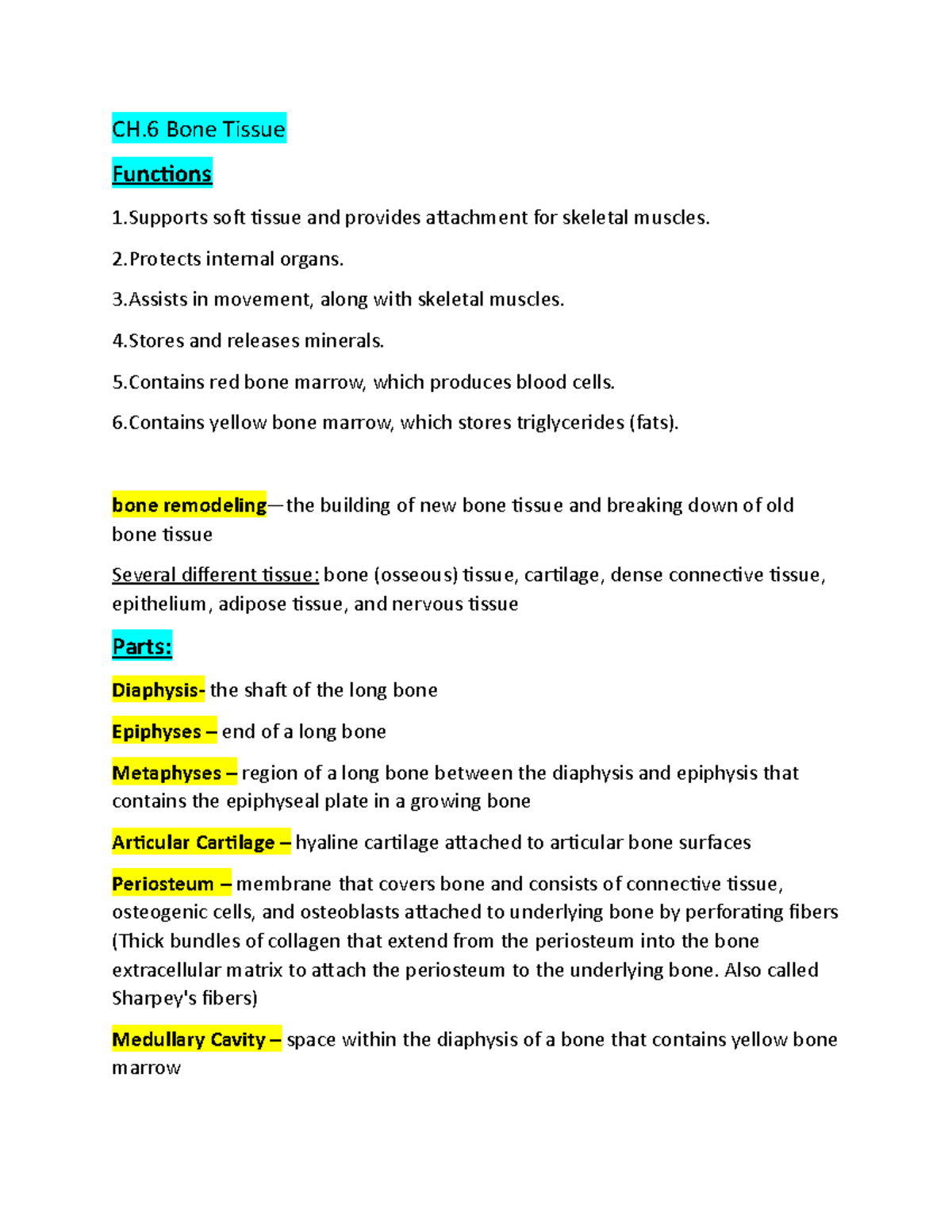 CH6 - Bone tissue including functions, parts, blood and nerve supply ...