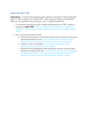 Medical Terminology Project - Roots may be combined with other roots ...