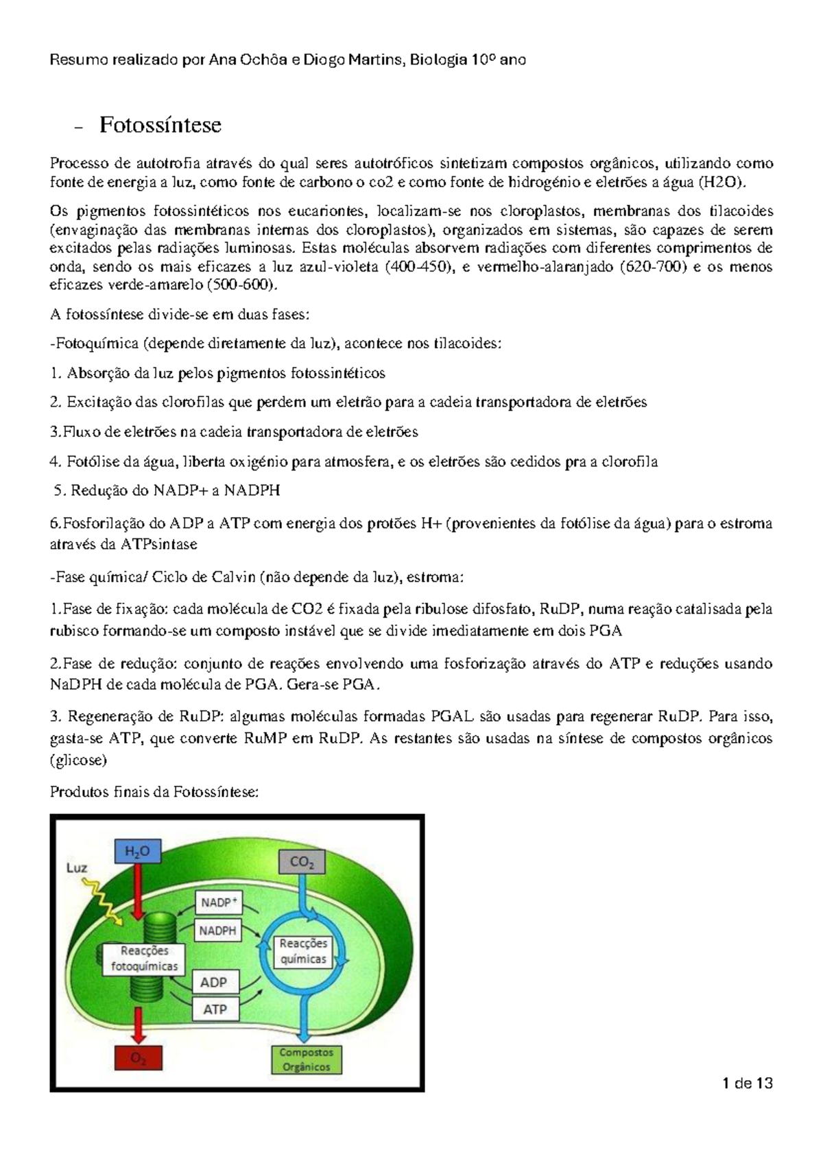Bio - Resumo Biologia 10 ano - − Fotossíntese Processo de autotrofia ...