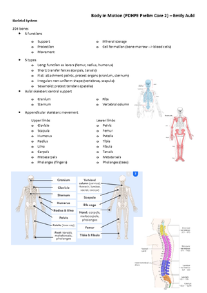 Pdhpe Year 11 Notes - Better Healt for Individual Meanings of Health ...