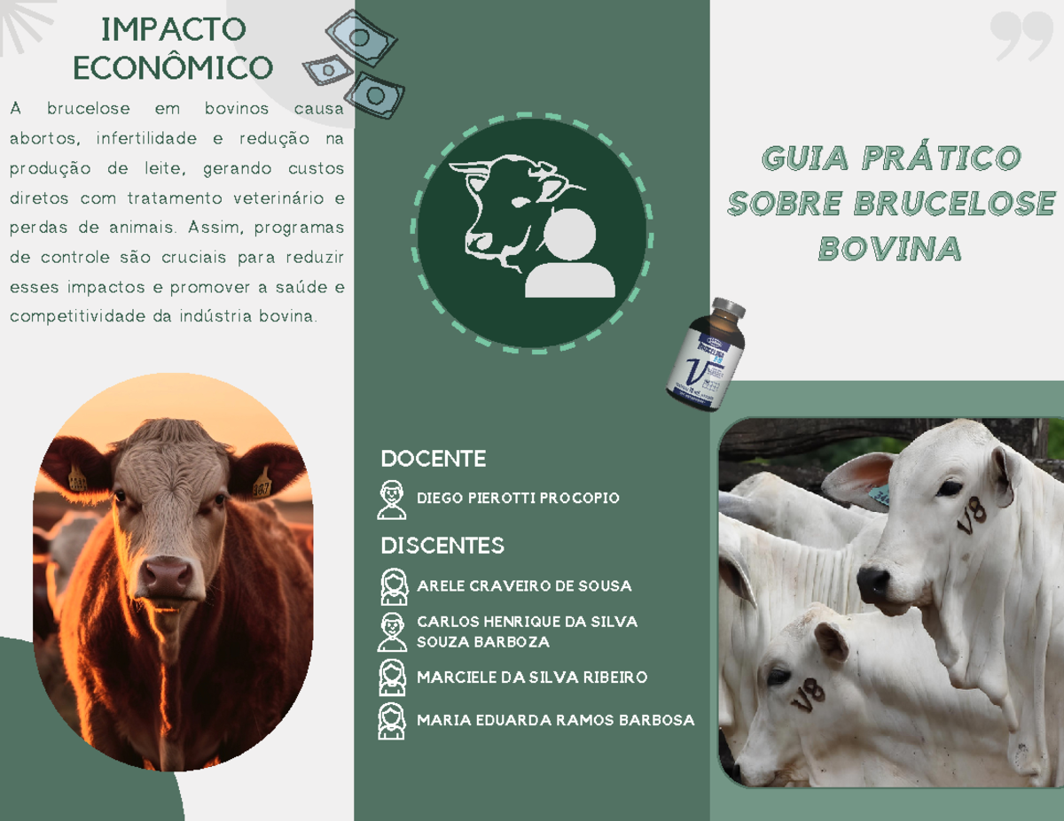 Guia Prático sobre Brucelose Bovina - ARELE CRAVEIRO DE SOUSA MARCIELE ...