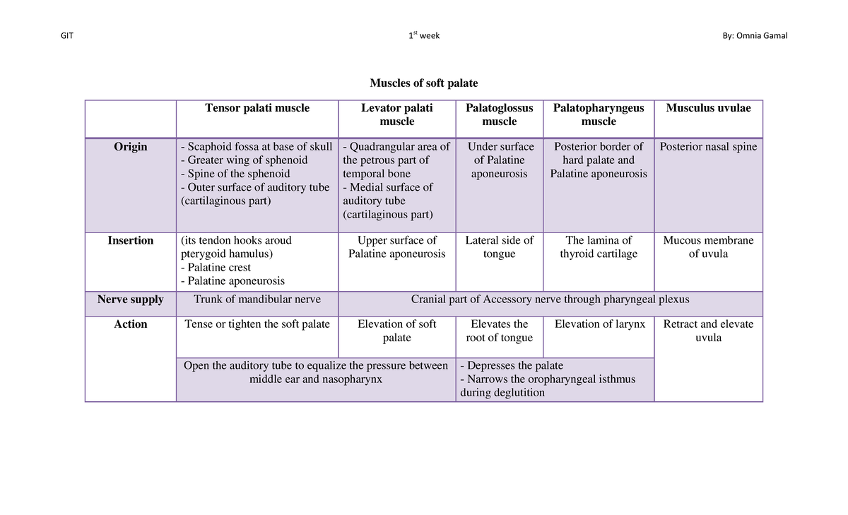 Comparisons Anatomy - Muscles of soft palate Tensor palati muscle ...