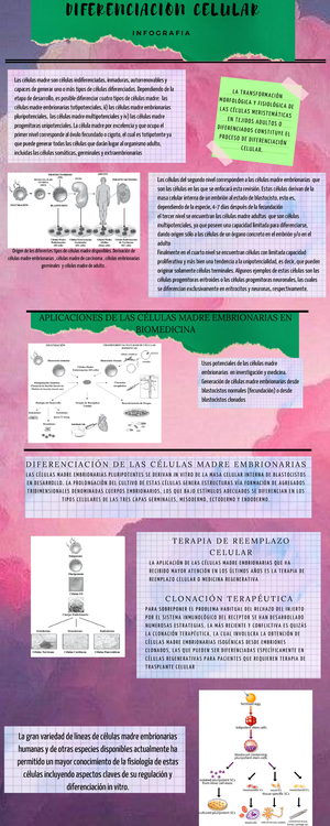 Tipos de Comunicación Intercelular - Tipos de Comunicación Intercelular ...