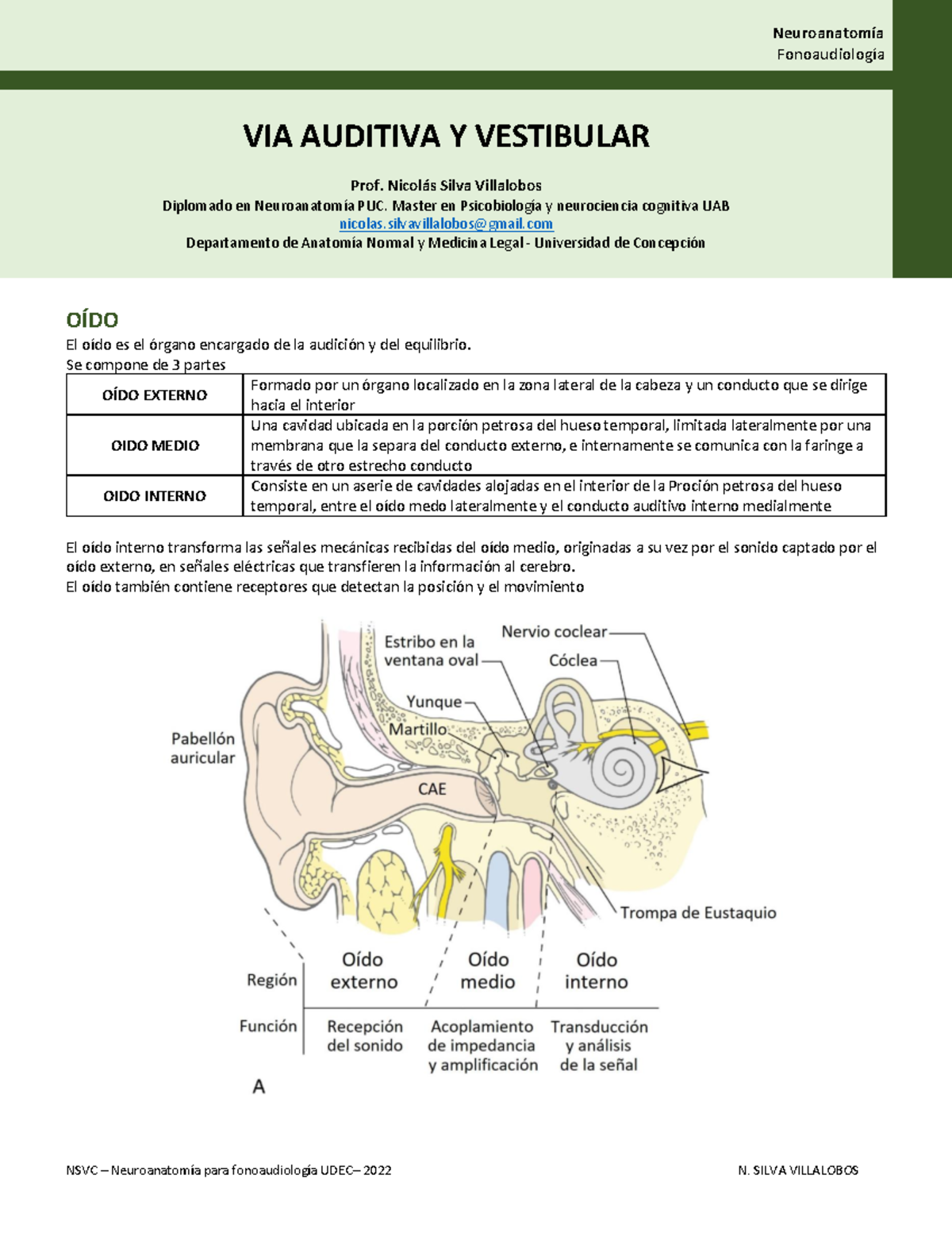 Modulo Via auditiva y vestibular 12-06-2022 - OÕDO El oÌdo es el Ûrgano ...