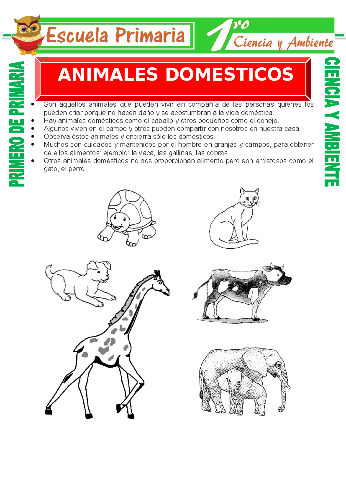 Animales-domesticos-para-Primero-de-Primaria - Primero de Primaria Son ...