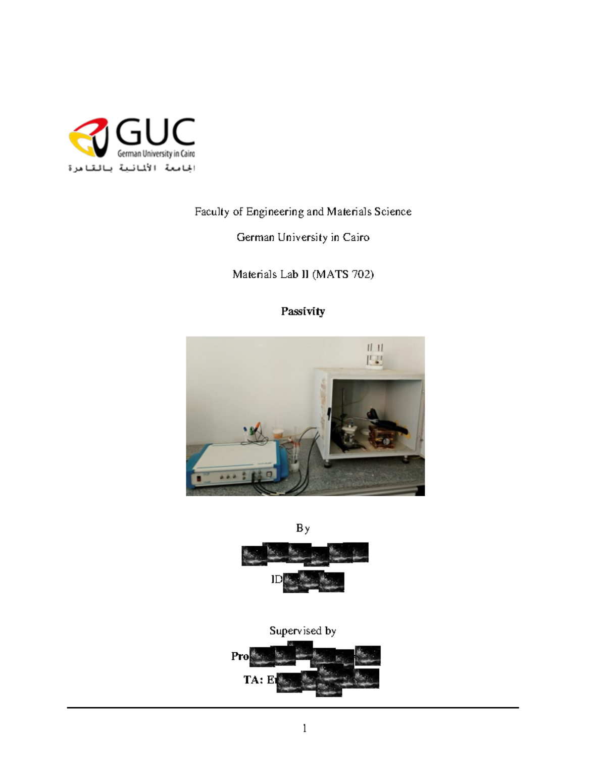 Passivity - Faculty of Engineering and Materials Science German University in Cairo Materials ...