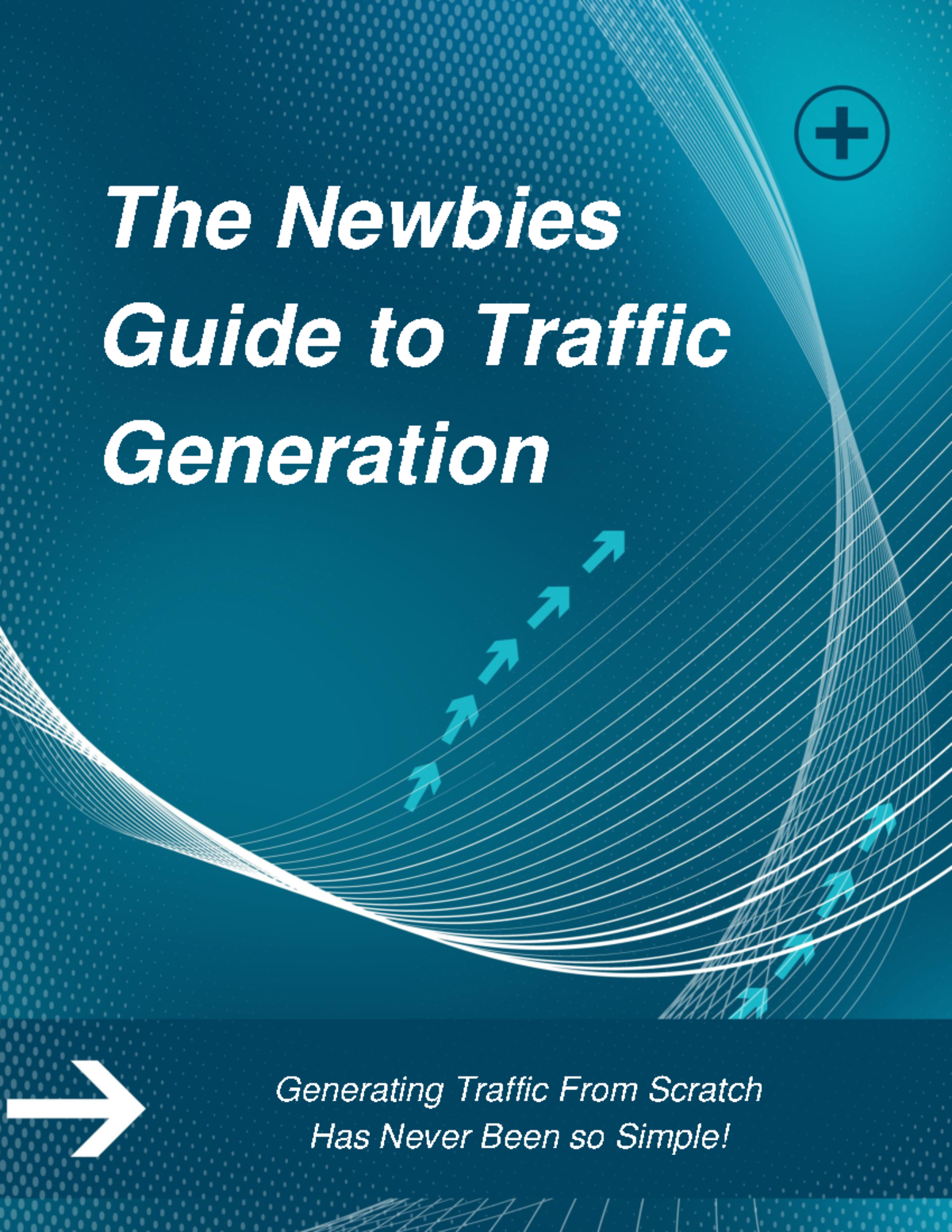 The Newbies Guide to Traffic Generation - The Newbies Guide to Traffic ...