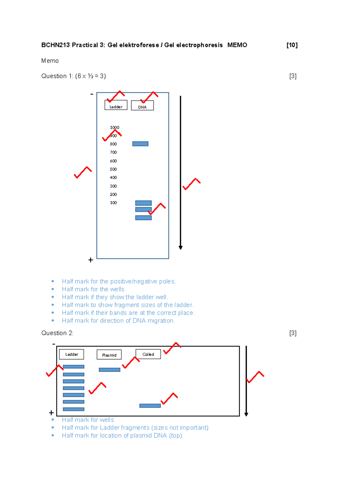 Gel elektroforese assignment 2024 memo - BCHN213 Practical 3: Gel ...