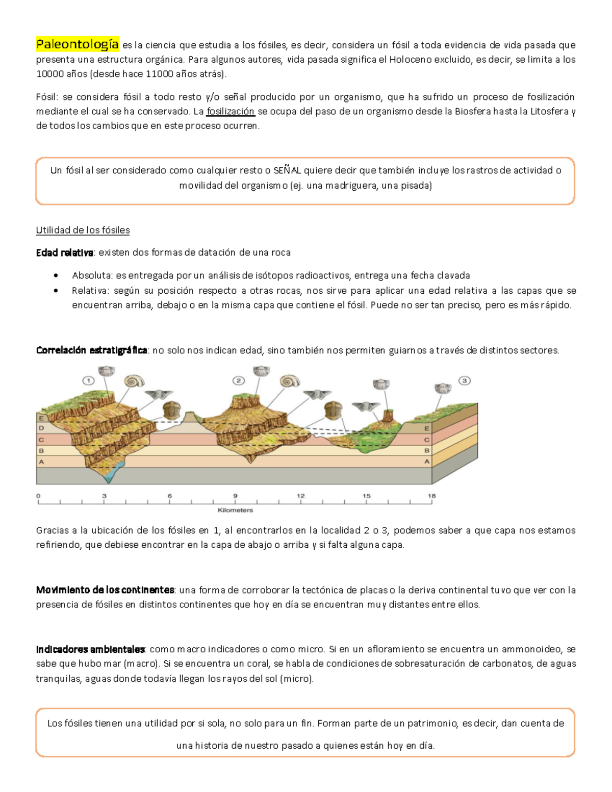 Cuadernillo Paleontología - Warning: TT: undefined function: 32 Warning: TT: undefined function ...