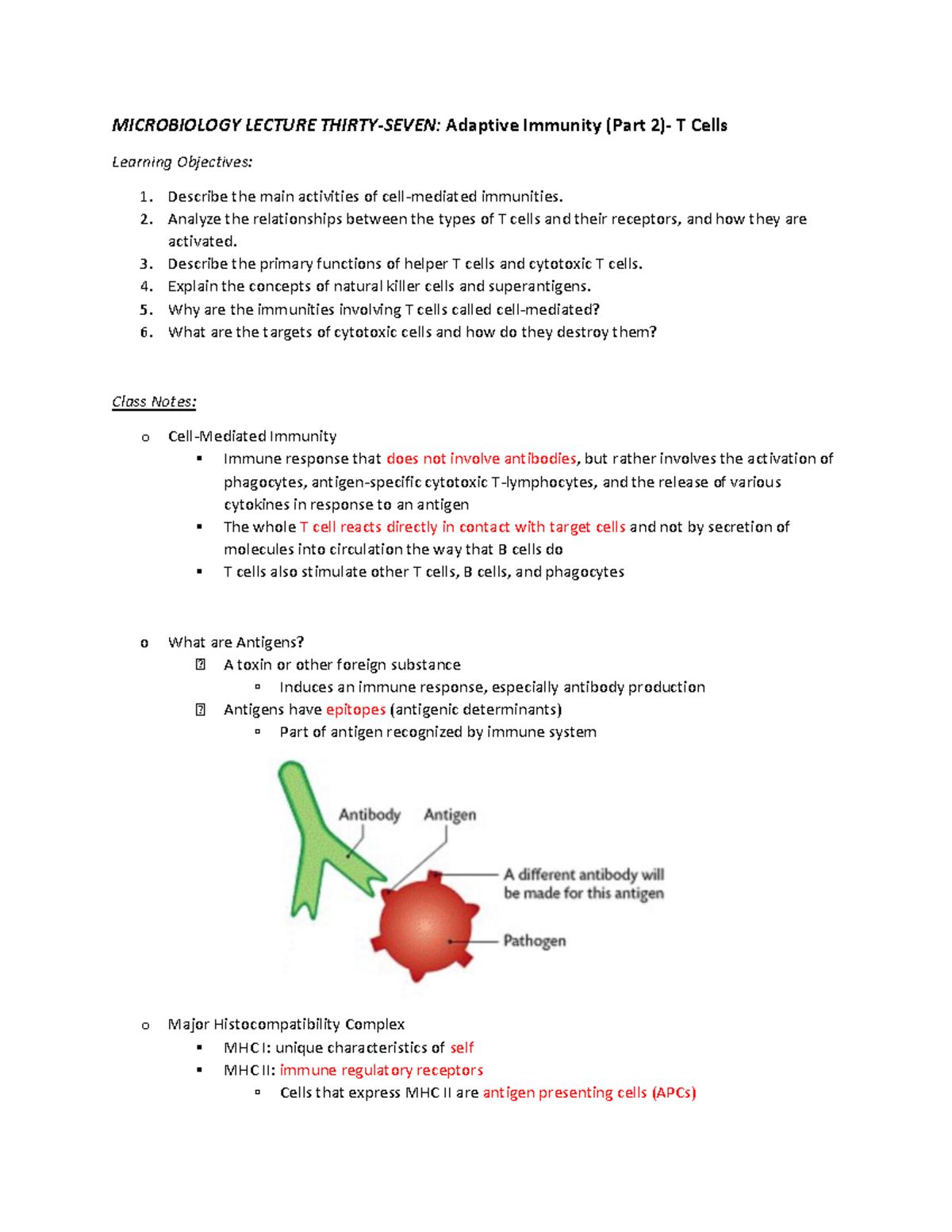 Microbio Lecture 37 - Adaptive Immunity (Part 2)- T Cells ...