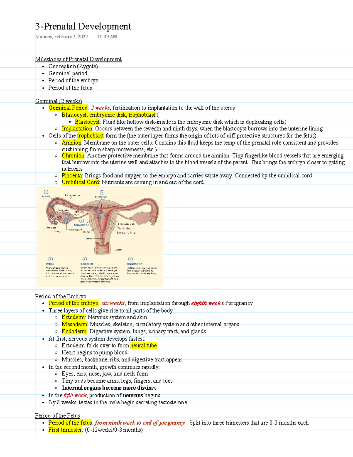 Psych 214-Chapter 3 - Milestones of Prenatal Development - Conception ...