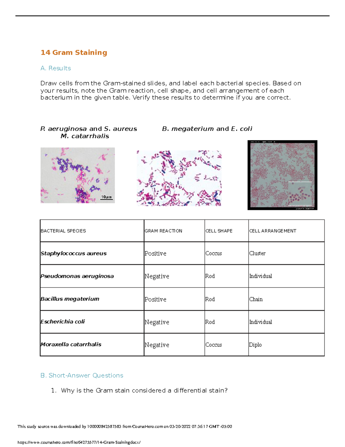 14 Gram Staining - This is just to have a free 14 days trial. Its ...