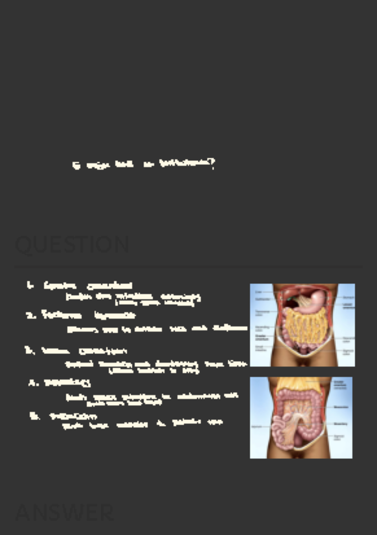 Digestive System Flash Cards 10 - BIOL 1190 - QUESTION ANSWER 5 major folds of Peritoneum? 1 ...