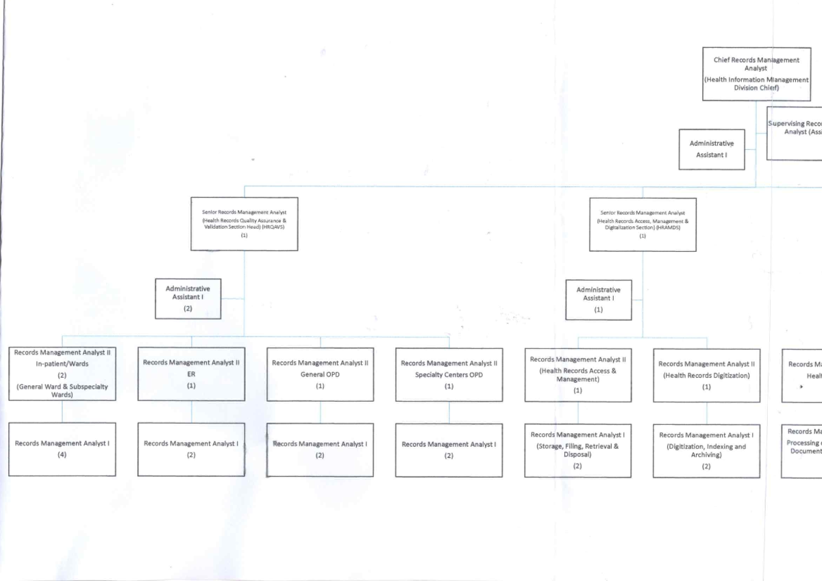 HIMD Org Chart - Chief Records Management Analyst (Health Information ...