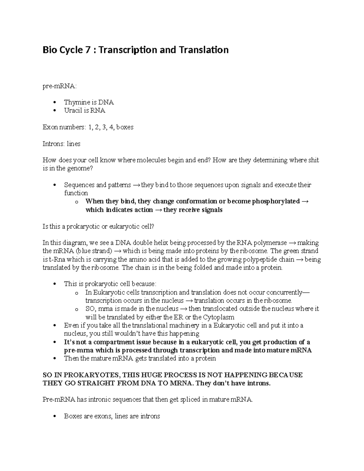 Bio Cycle 7 - Bio Cycle 7 : Transcription and Translation pre-mRNA ...