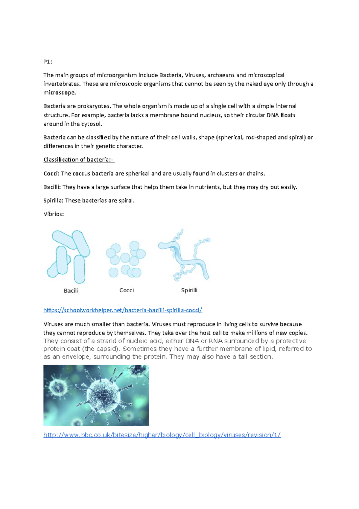 Bacteria - Notes - P1: The main groups of microorganism include ...