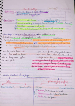 Bone development - In this notes, you will find information about the ...