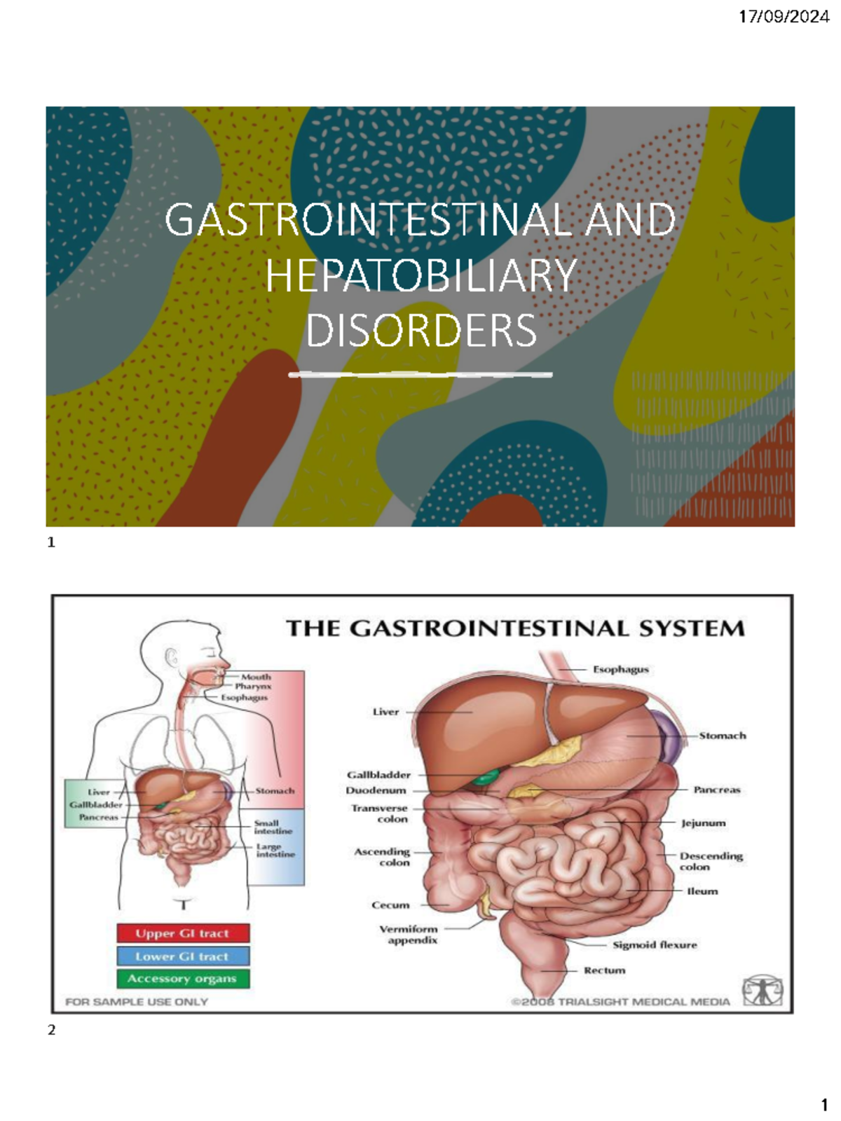 Hepatobiliary Disorders - GASTROINTESTINAL AND HEPATOBILIARY DISORDERS ...