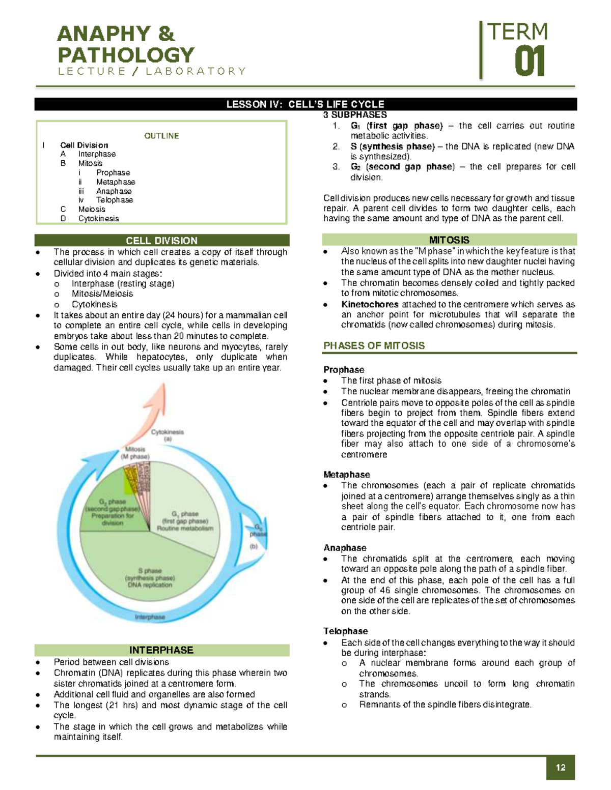 Anatomy & Pathophysiology - Cell Life Cycle - [AUTHOR NAME] 12 01 ...