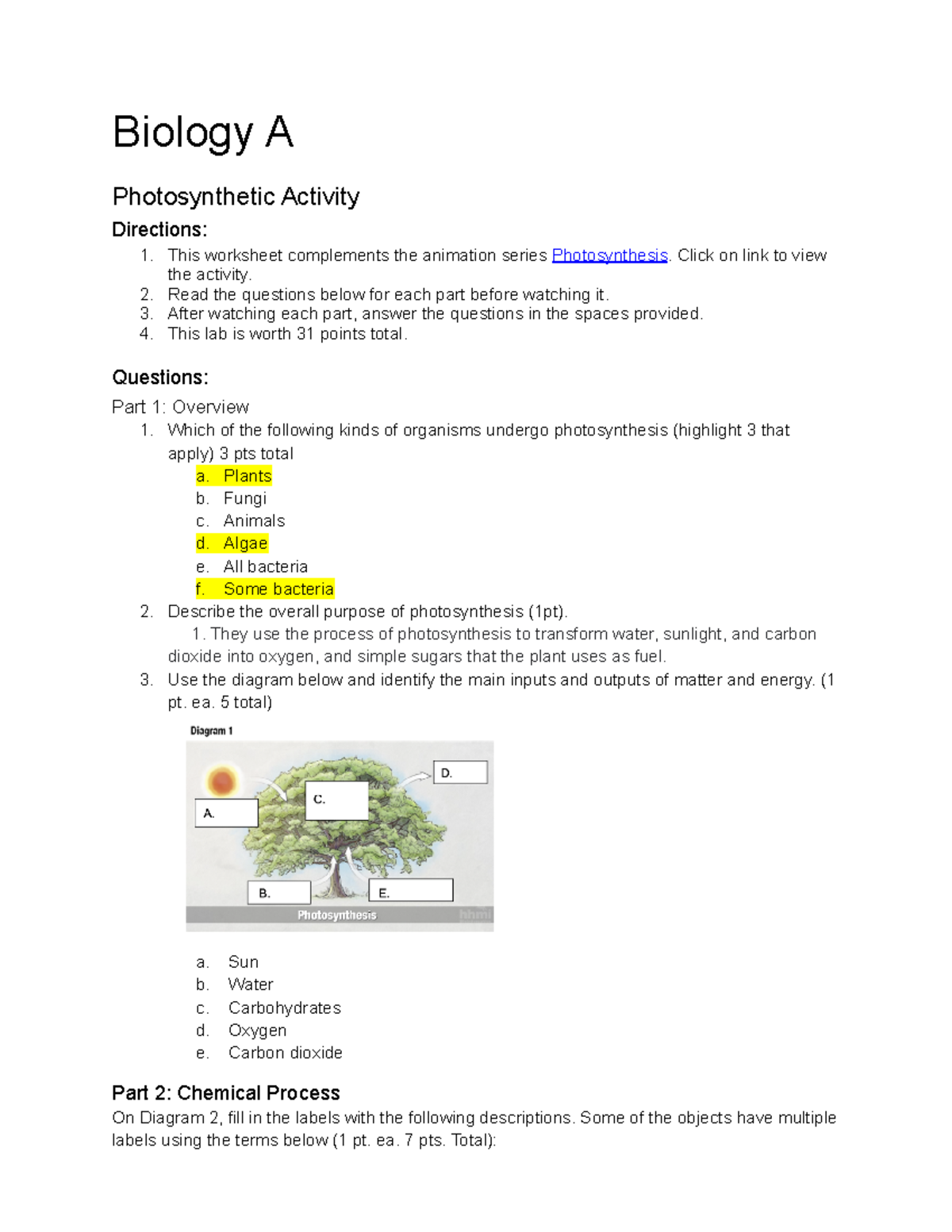 Photosynthetic Activity - Biology A Photosynthetic Activity Directions ...