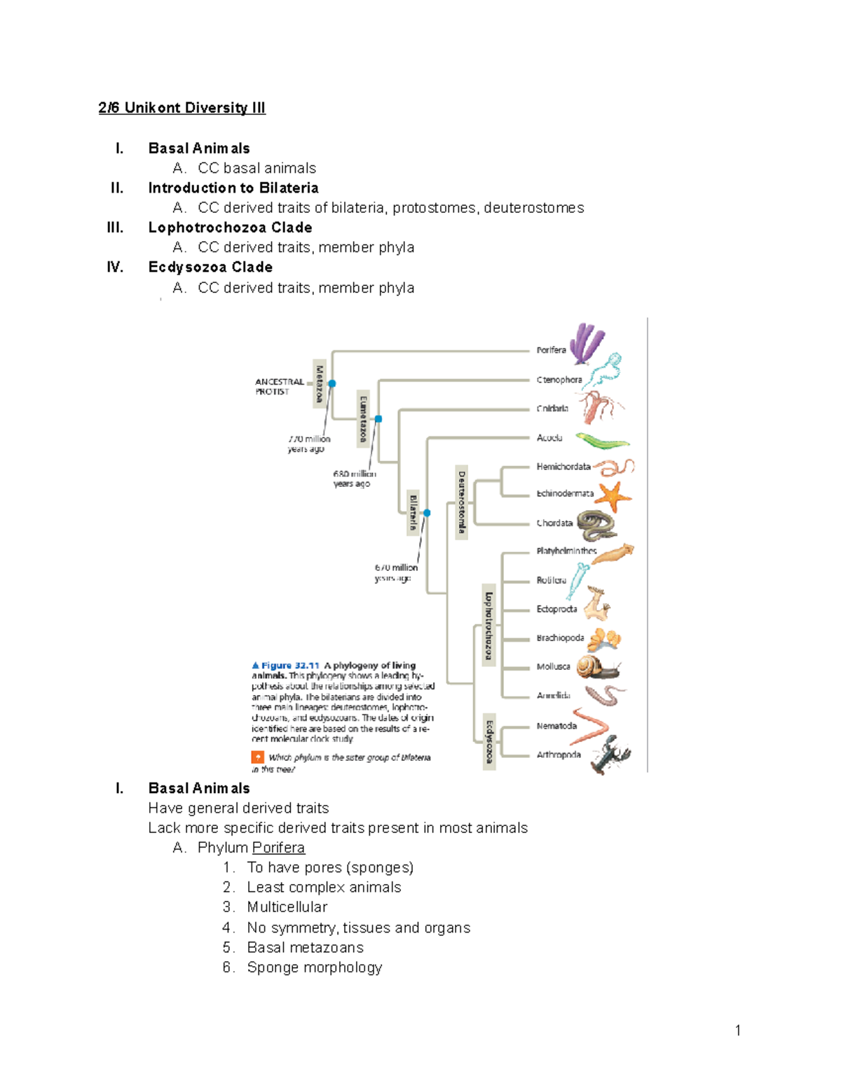 2 6 Unikont Diversity III - 2/6 Unikont Diversity III I. Basal Animals ...