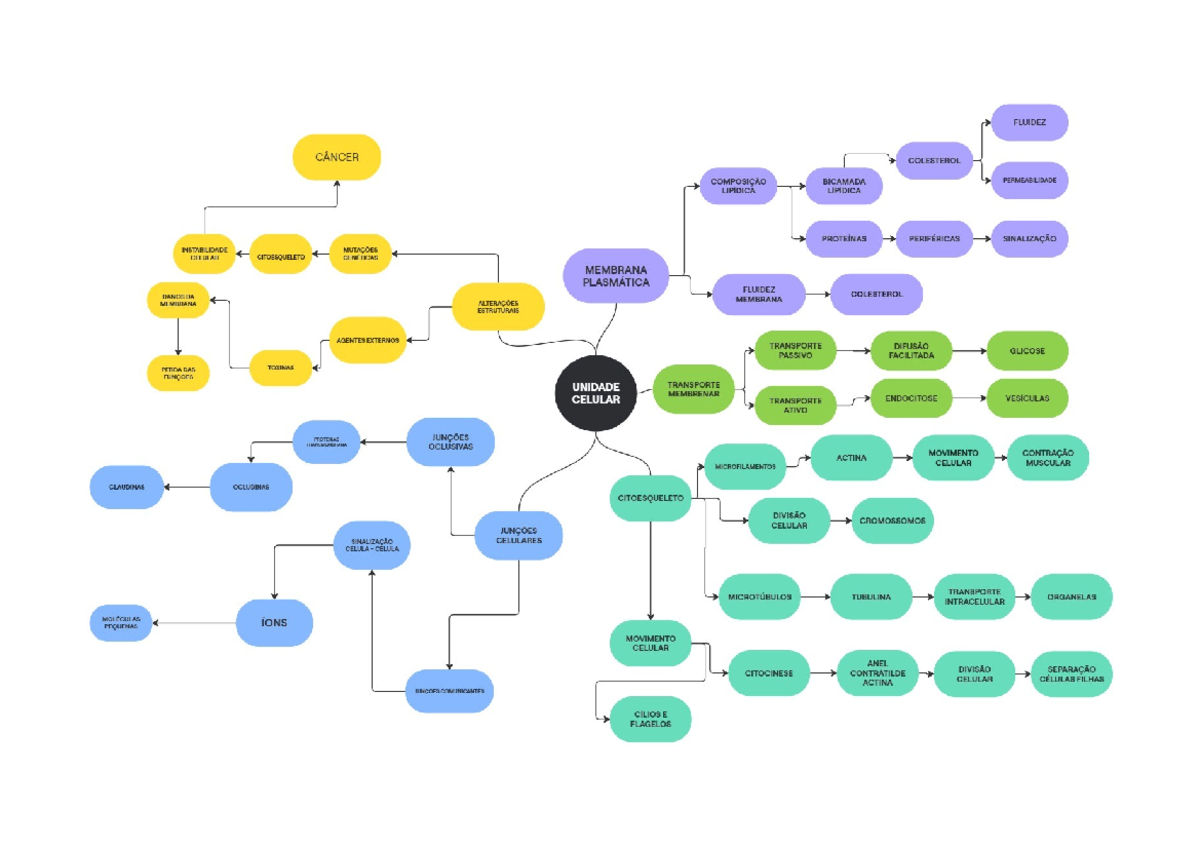 MAPA Mental AV1 - FLUIDEZ CÂNCER COLESTEROL COMPOSIÇÃO BICAMADA ...