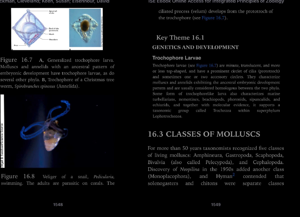 16 chapter summary - Dr. Matthew grober - Integrated Principles of ...