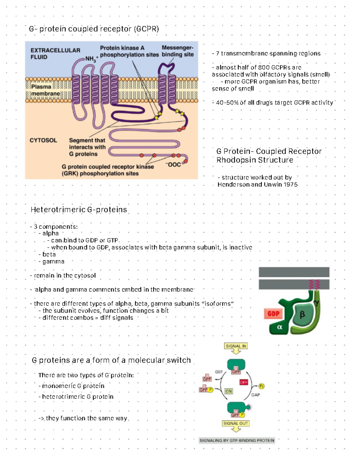 GPCR lecture notes - G- protein coupled receptor (GCPR) 7 transmembrane ...