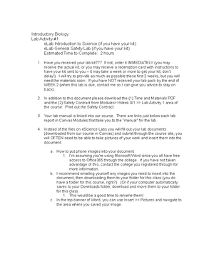 IB LAB 06 Enzymes - Lab 6 - Introductory Biology Lab Activity #6 ...