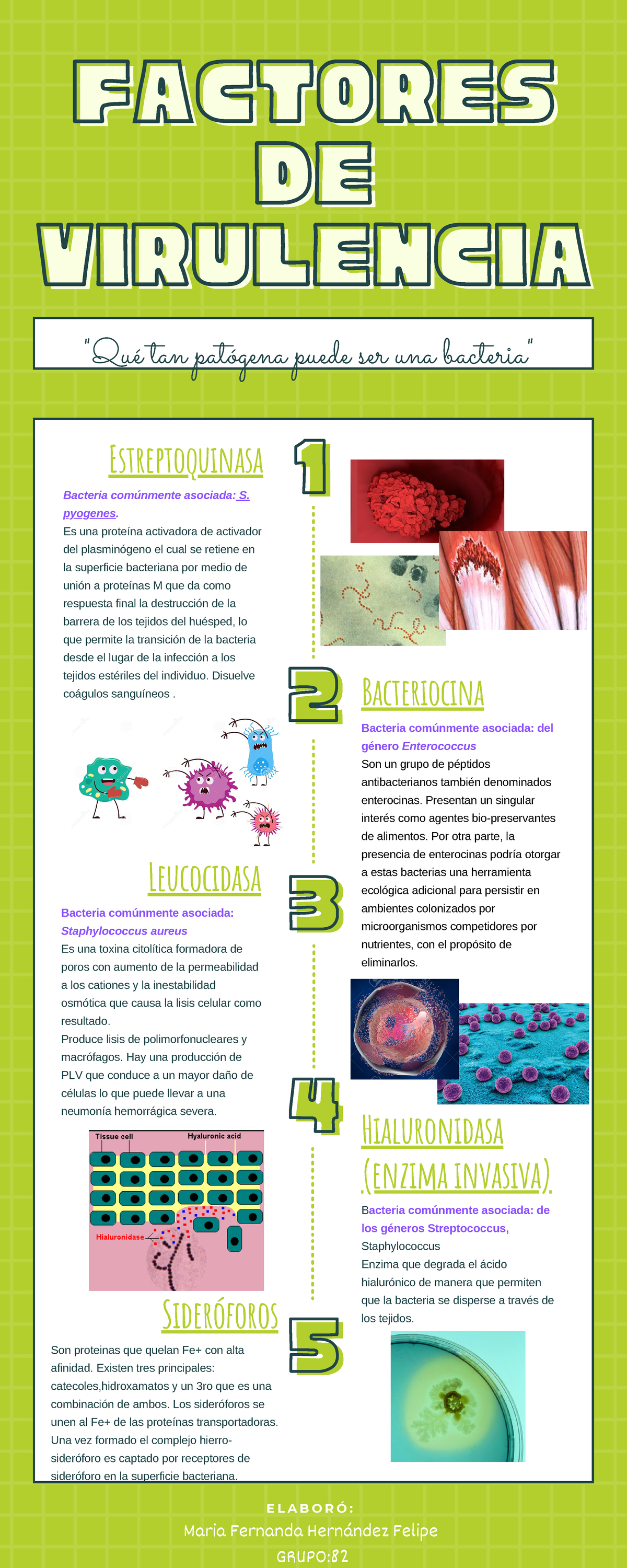 Infografia de factores de virulencia - 111 333 222 444 555 ...
