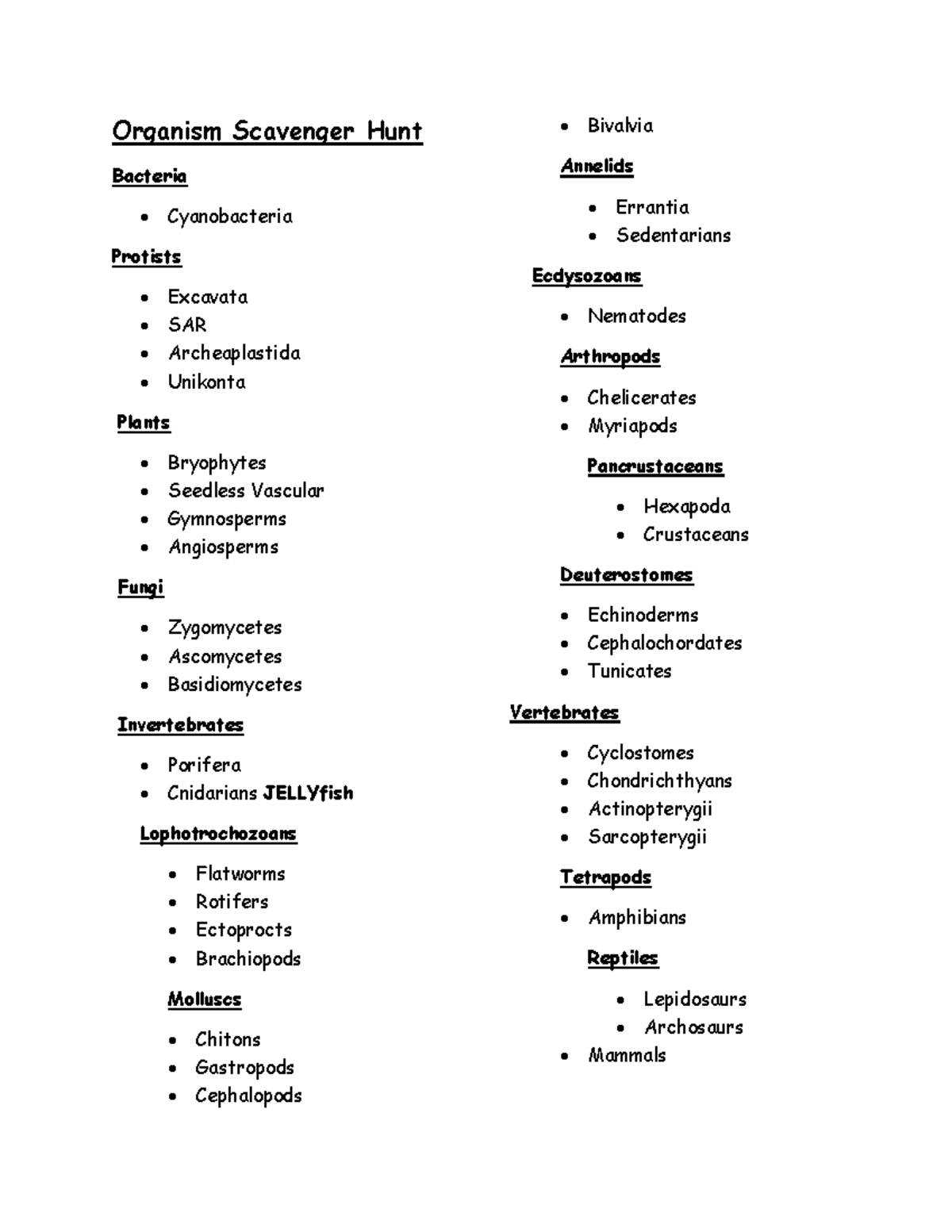 Organism Scavenger Hunt - Organism Scavenger Hunt Bacteria ...