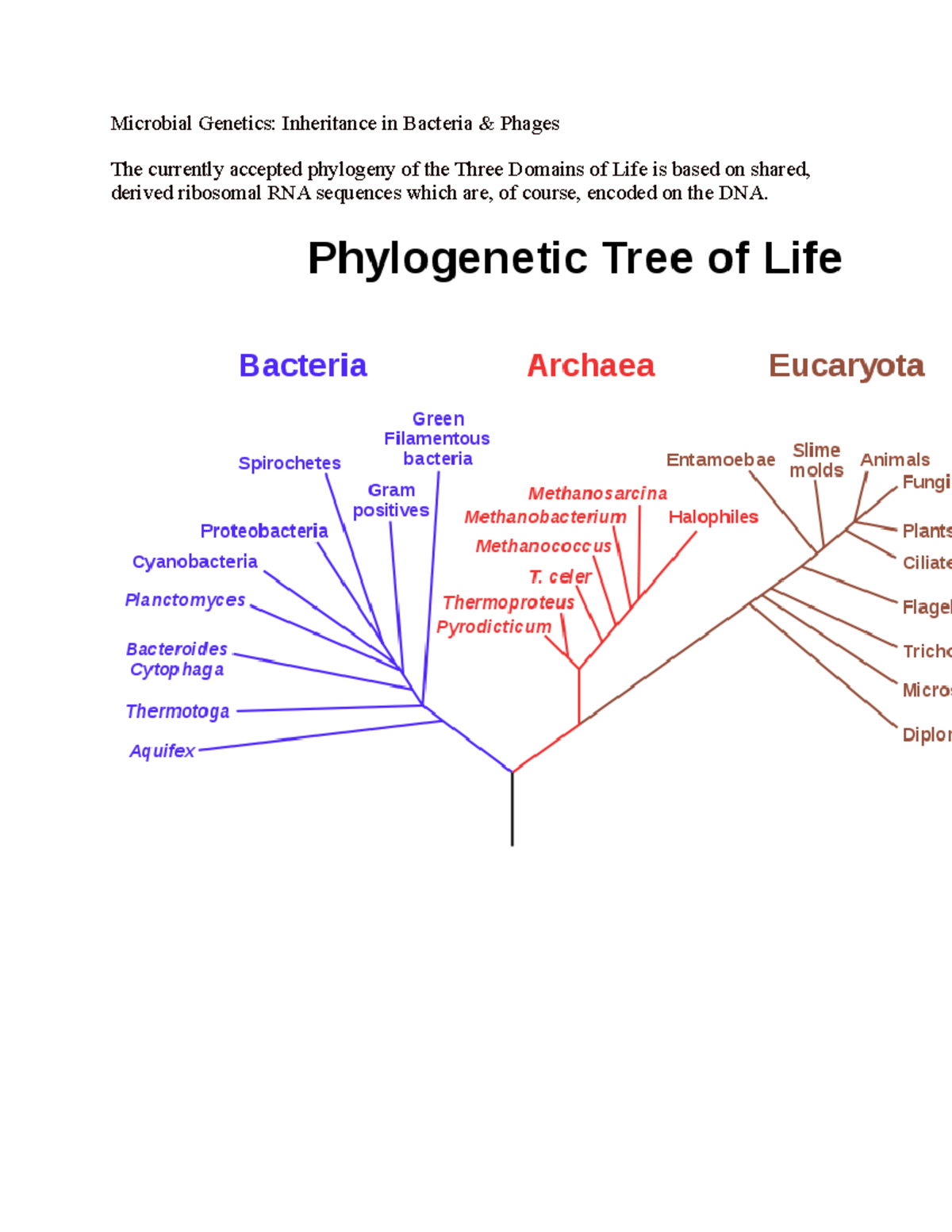 Lecture 5 - Genetics of Microbes (Chapter 5) - Microbial Genetics ...