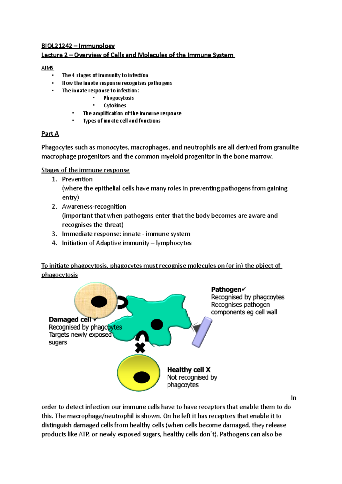 Lecture 2 Overview Of Cells And Molecules Of The Immune System