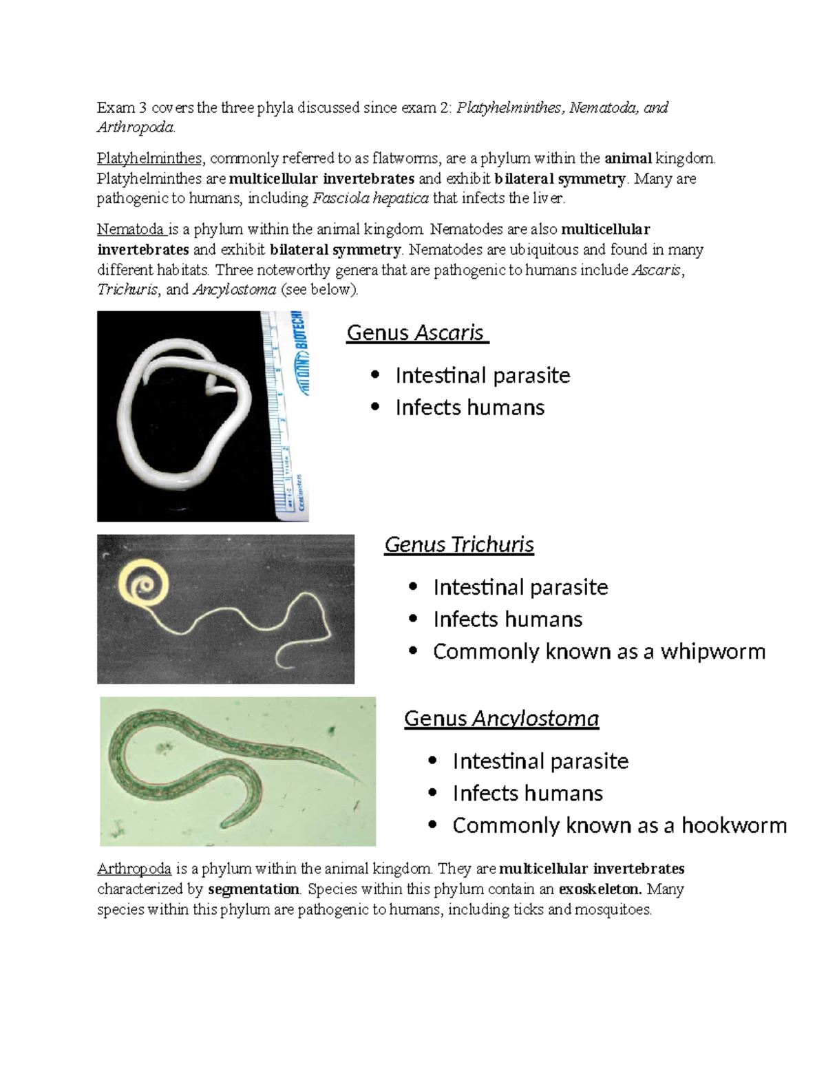 Exam 3 study guide - notes - Exam 3 covers the three phyla discussed ...