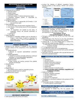 Anaphy Muscular - HUMAN ANATOMY AND PHYSIOLOGY WITH PATHOPHYSIOLOGY ...