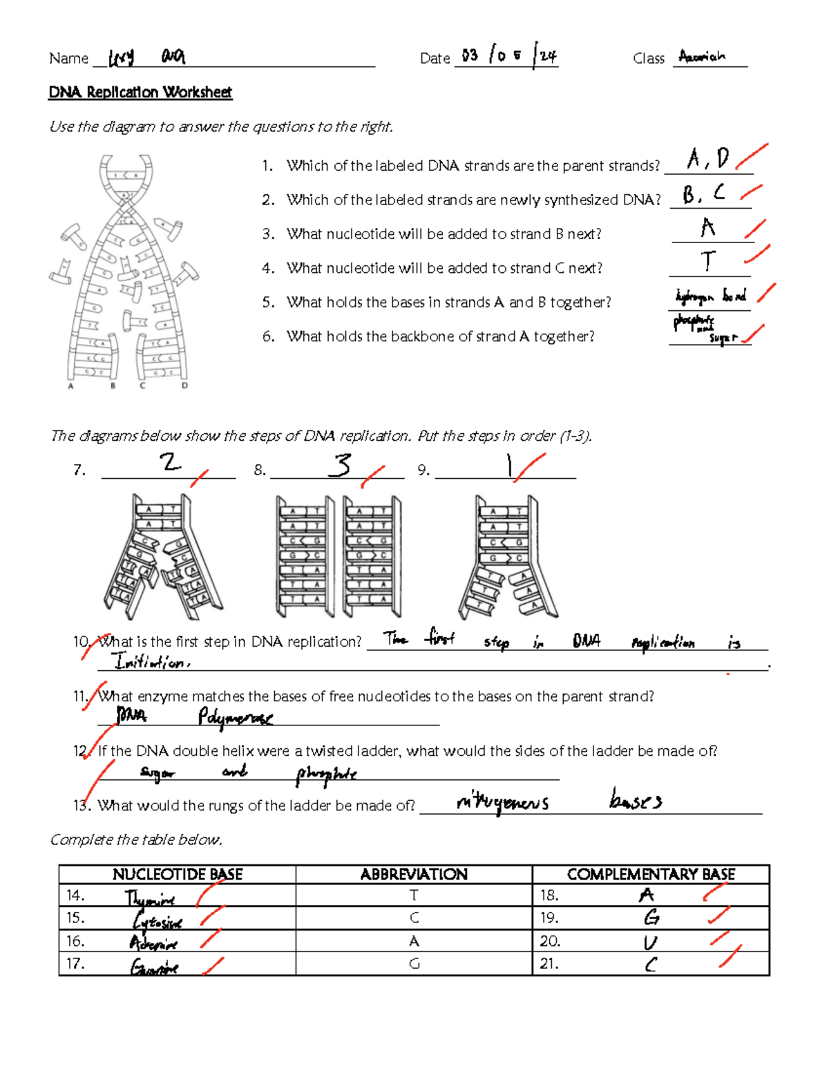 Worksheet DNA Replication Worksheet 2 - Name ...