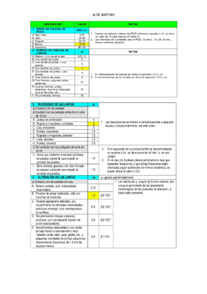 Perforacion de rocas - PERFORACION DE ROCAS PRE-HISTORIA: En el ...
