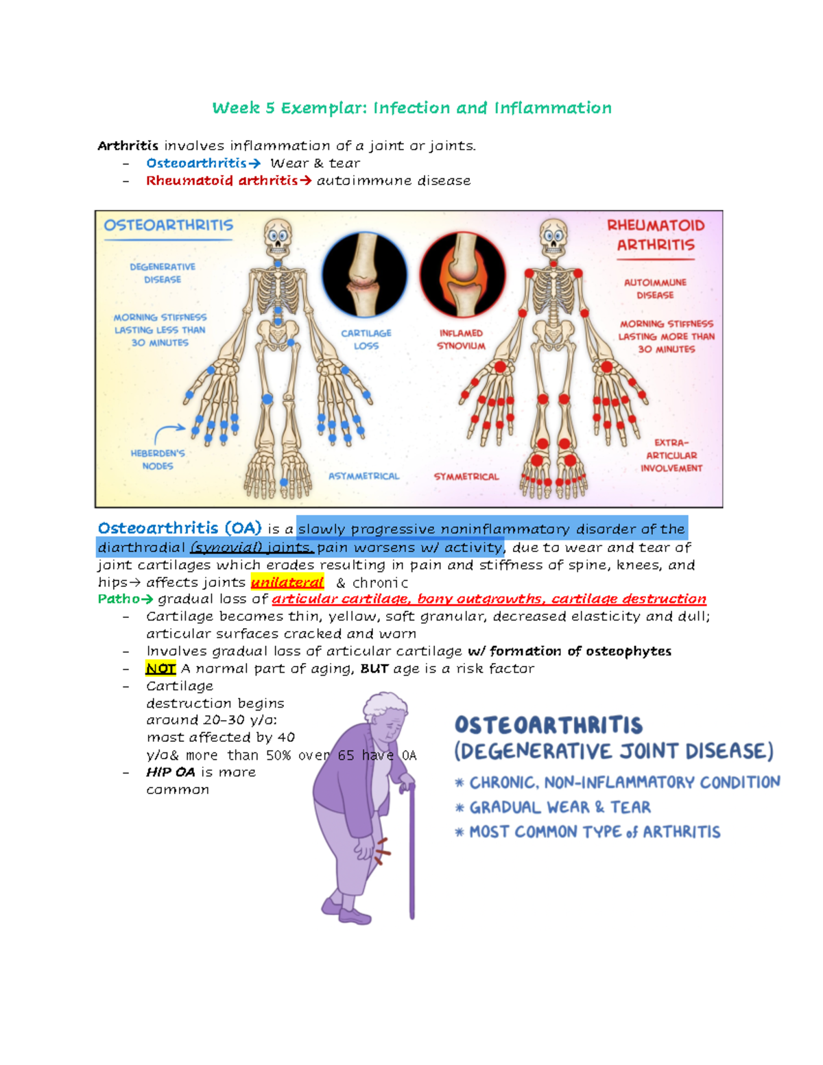 Week 5 notes - Med surg - Week 5 Exemplar: Infection and Inflammation ...