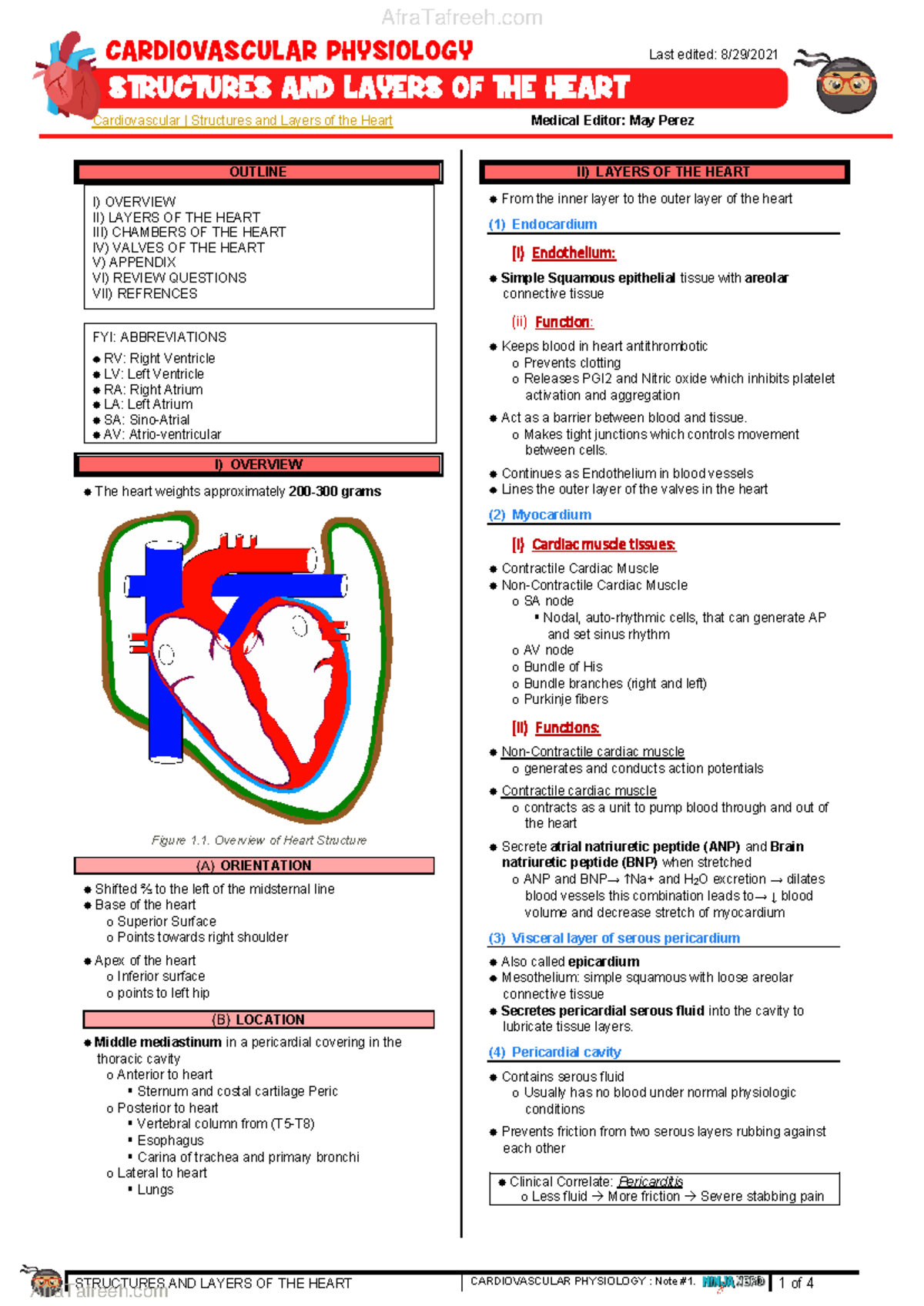 Structures and Layers of the Heart atf - STRUCTURES AND LAYERS OF THE ...