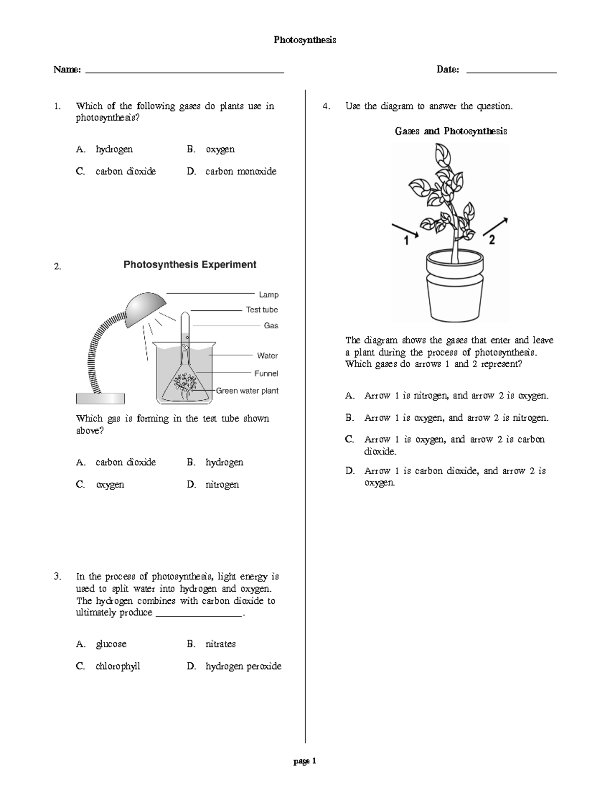 Photosynthesis 2 Bell Ringer - - Studocu